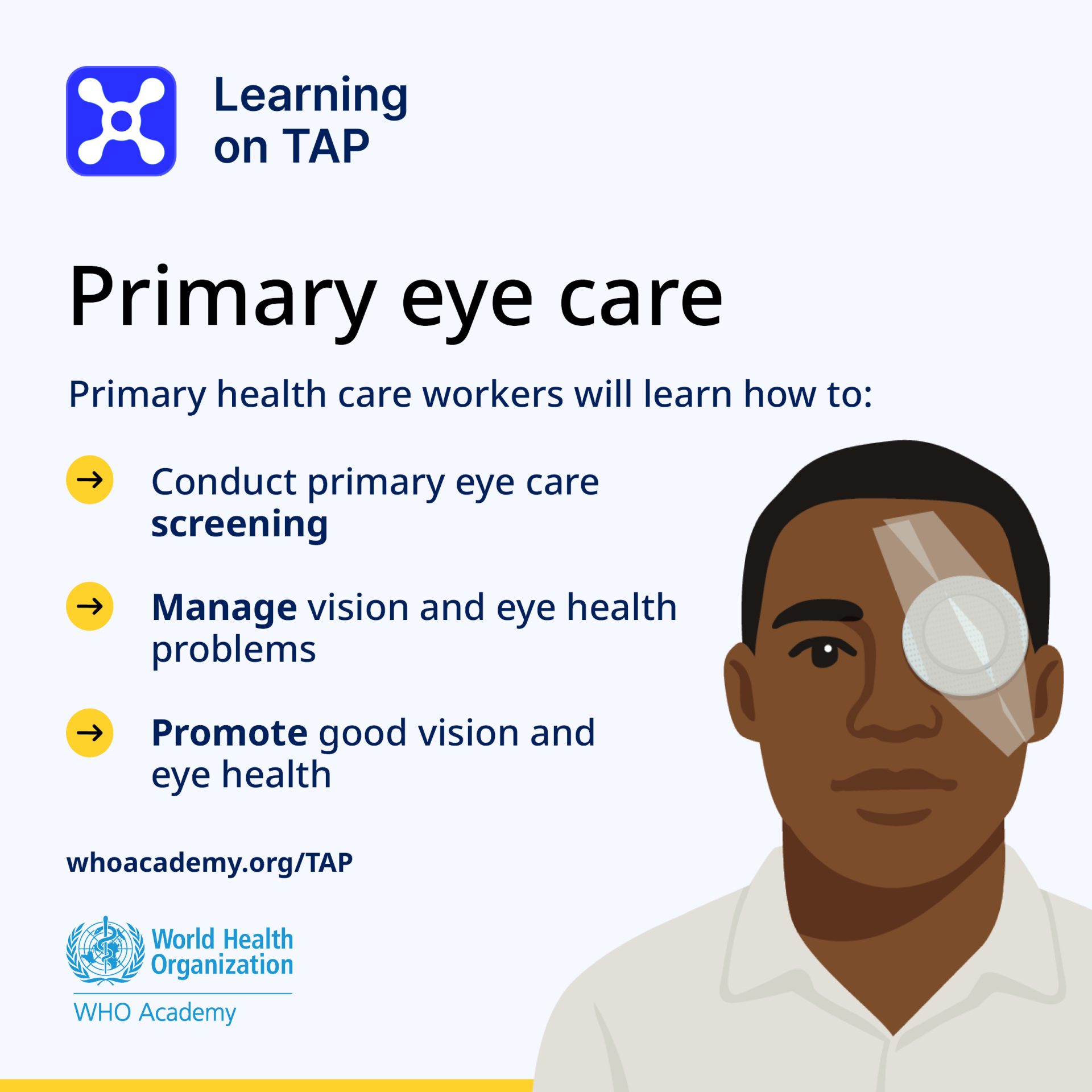 Launch of the new WHO Primary eye care course - The International ...